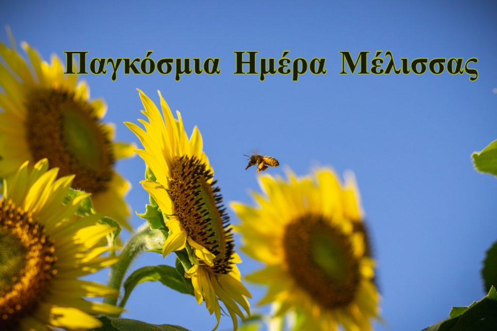 Σαν σήμερα 20 Μαΐου: Παγκόσμια Ημέρα Μέλισσας - Votanistas
